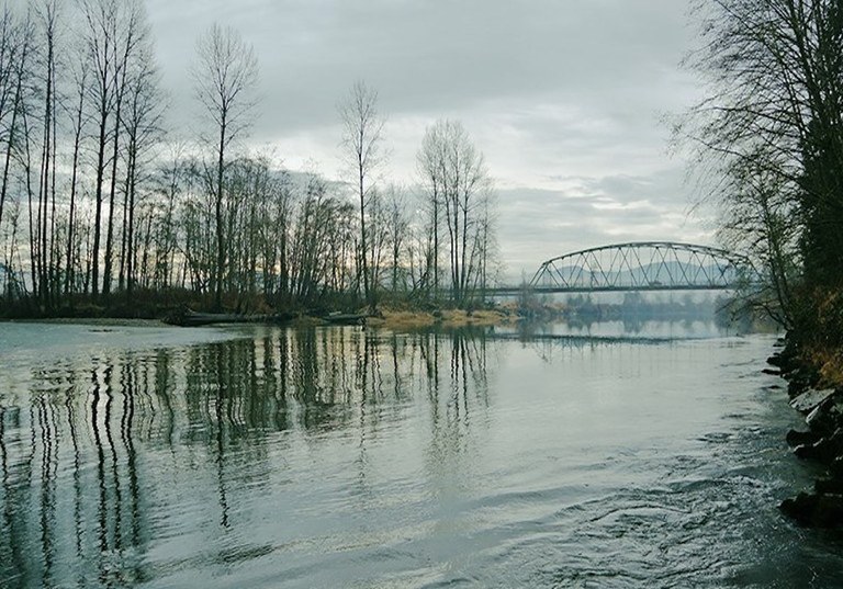 Tolt-MacDonald Park — Washington Trails Association