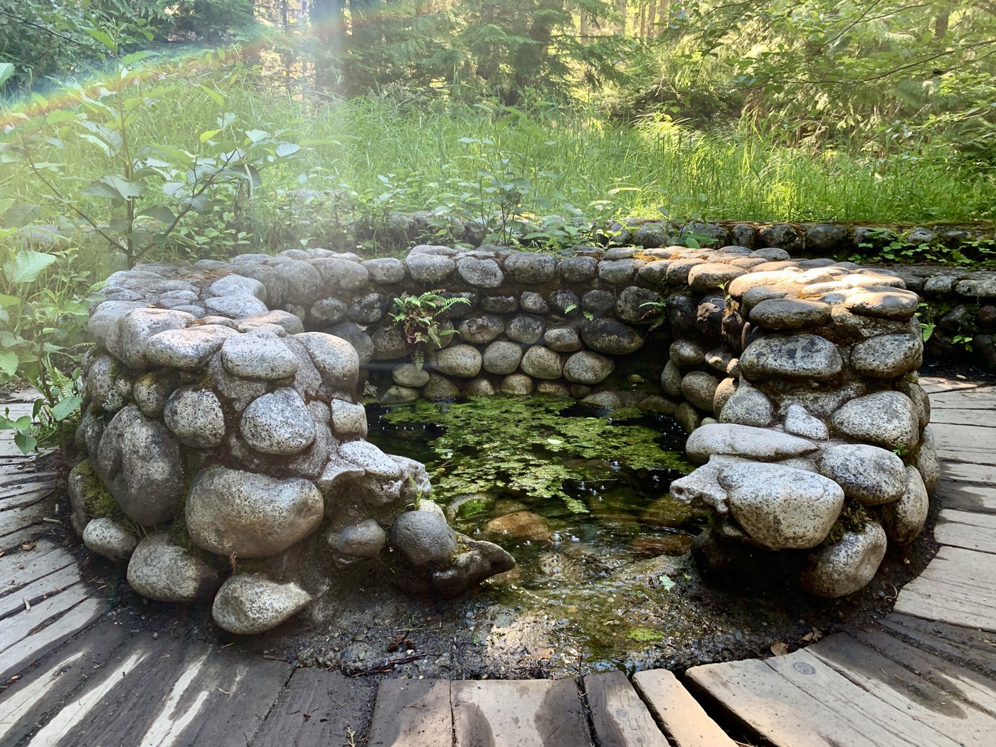 Trail of the Shadows — Washington Trails Association