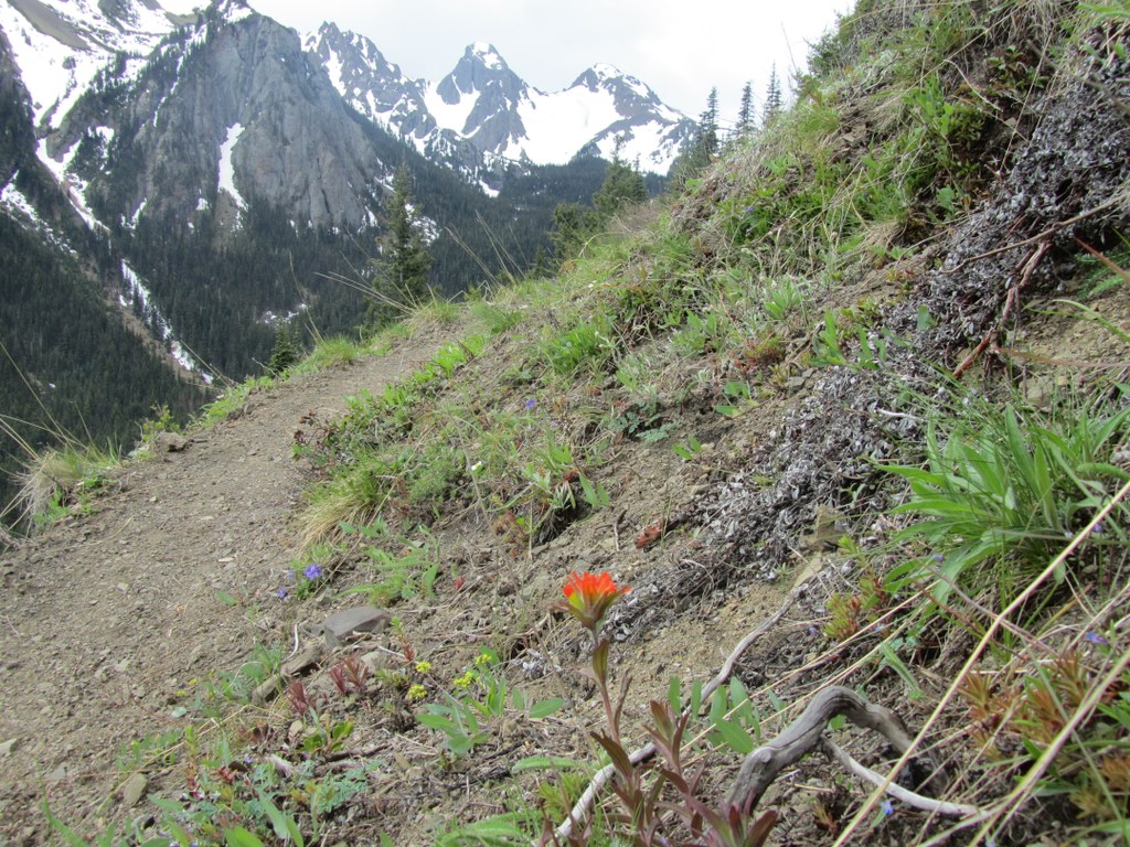 Tubal Cain Mine — Washington Trails Association