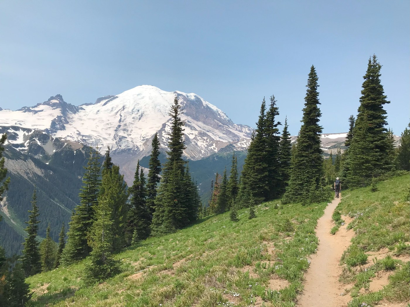 Silver Forest - Emmons Vista — Washington Trails Association
