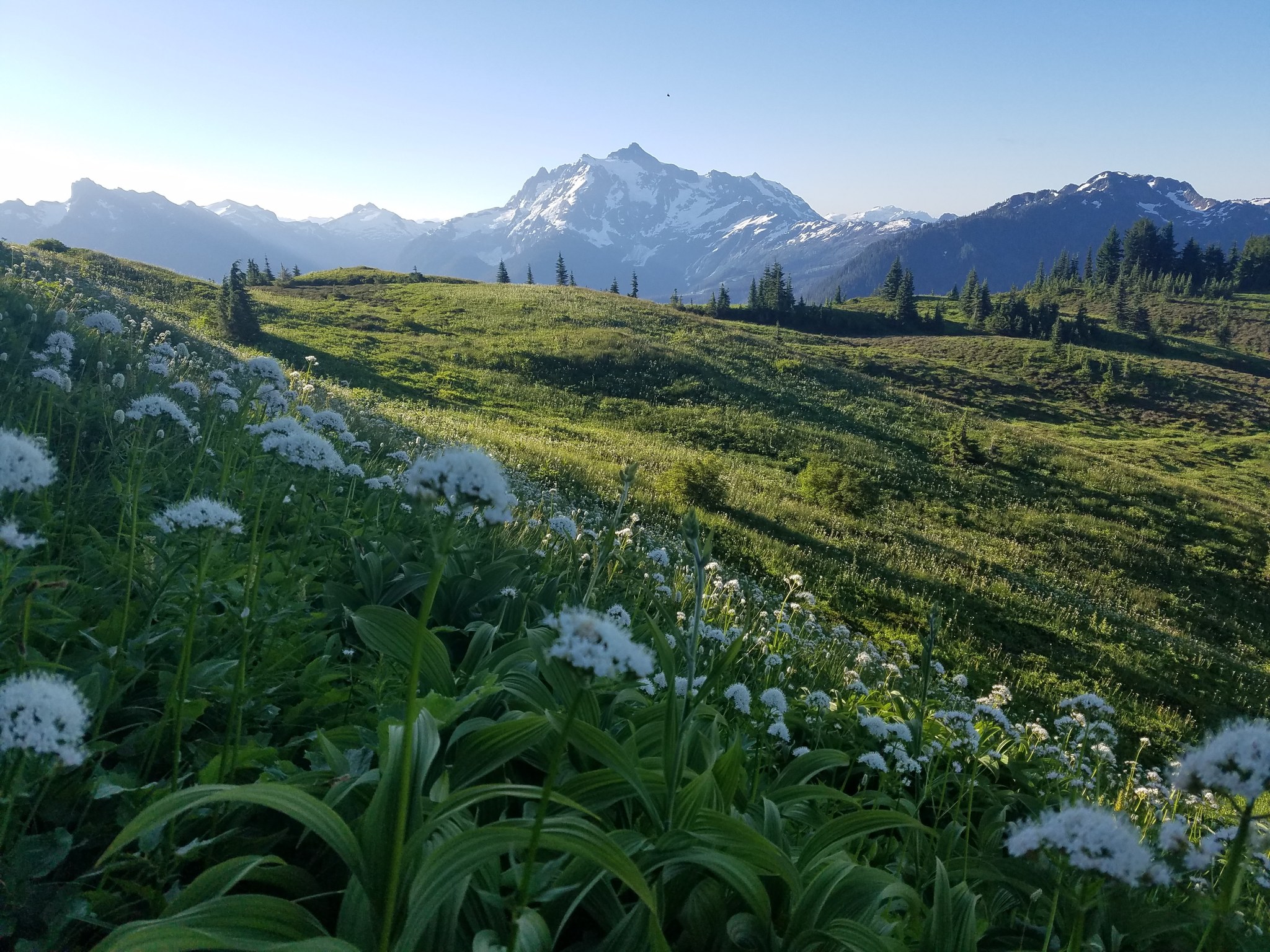 Welcome Pass — Washington Trails Association