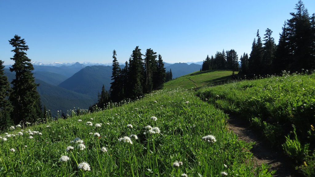 West Cady Ridge to Benchmark Mountain — Washington Trails Association
