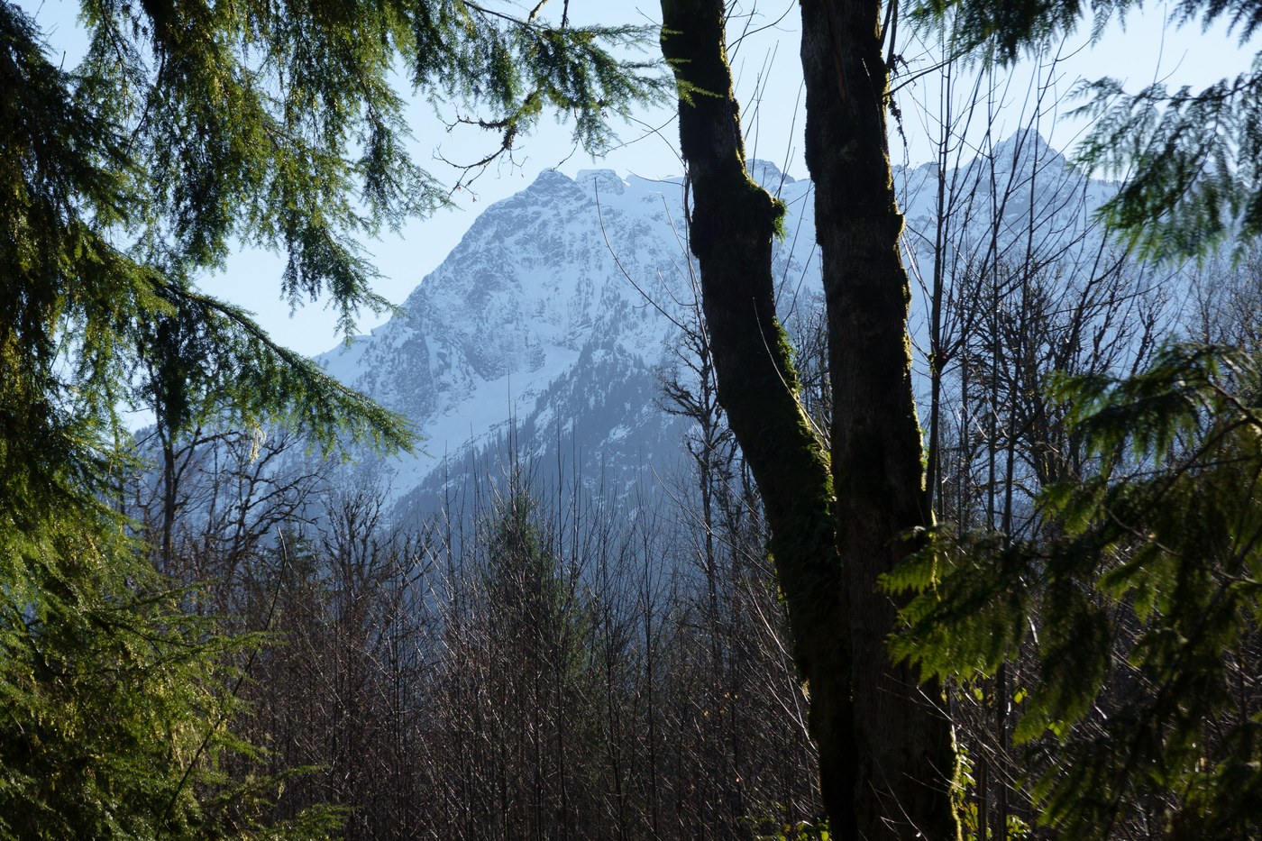 Whitehorse Trail - Swede Heaven to Darrington — Washington Trails ...