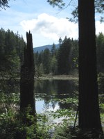 Yellow Lake — Washington Trails Association