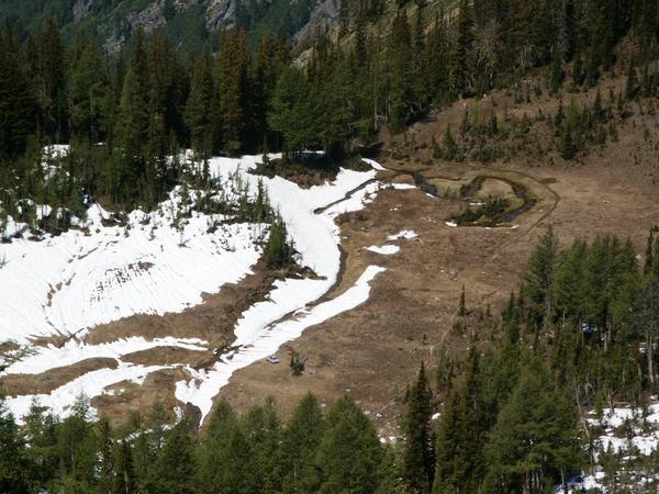 Carne Mountain #1508 — Washington Trails Association