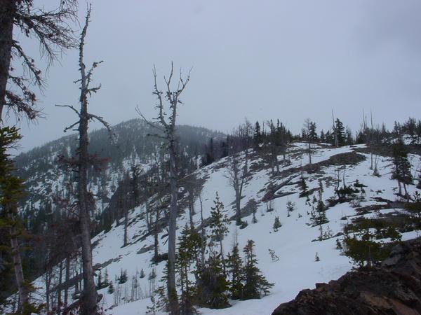 Navaho Pass and Pk #1369 — Washington Trails Association