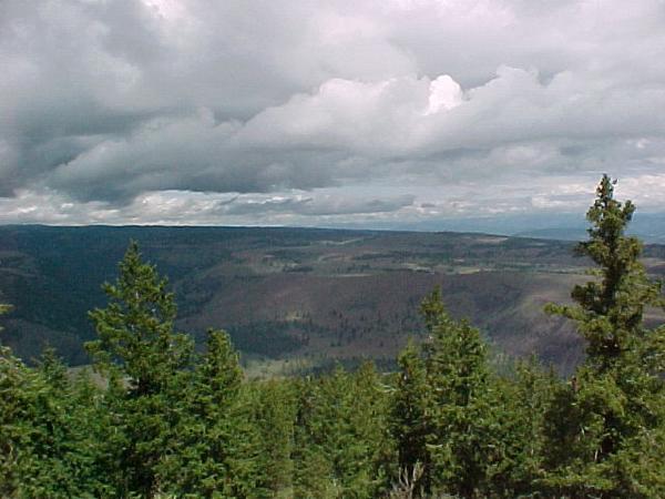 Manastash Ridge Observatory Road — Washington Trails Association