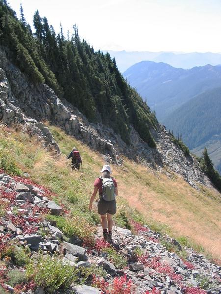 Foss Peak,Pinnacle Saddle — Washington Trails Association