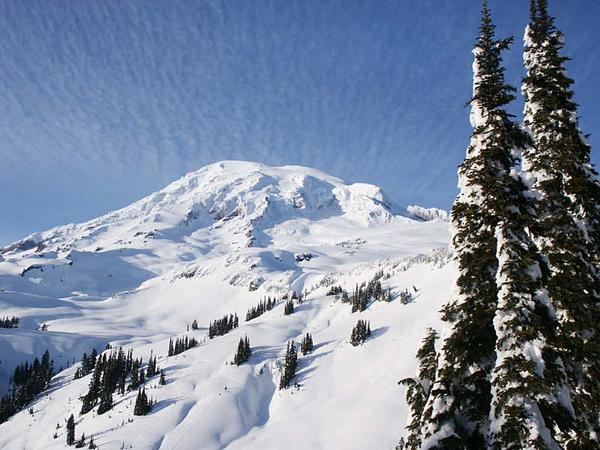 Mount Rainier,Mazama Ridge — Washington Trails Association