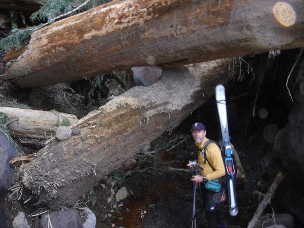 Tahoma Creek Suspension Bridge - Emerald Ridge Loop — Washington Trails Association
