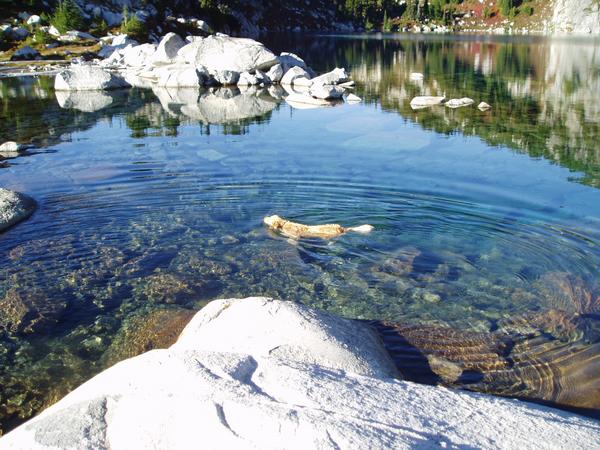 Tuck Lake #1376.1,Robin Lakes #1376.1 — Washington Trails Association