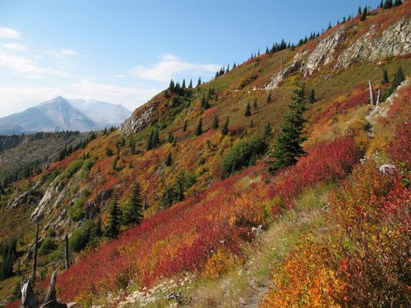 Norway Pass,Boundary #1 — Washington Trails Association