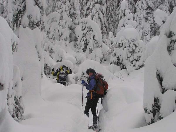Mt. Dickerman — Washington Trails Association
