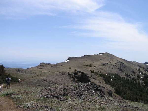 Mount Townsend #839 — Washington Trails Association