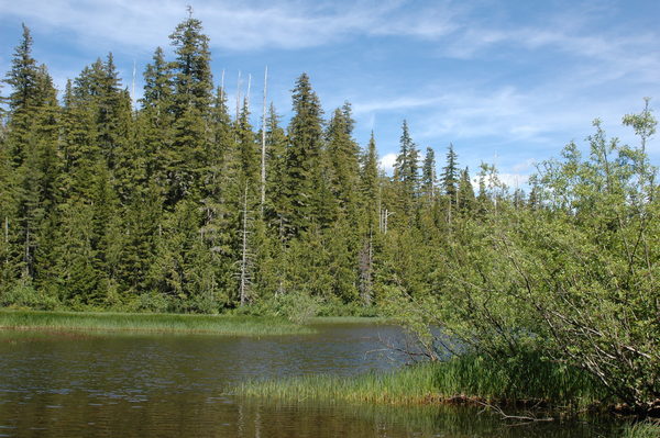 Mink Lake #35 — Washington Trails Association