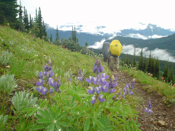 Jackita Ridge #738,Devil's Ridge #752,Devils Dome,Canyon Creek #404 ...
