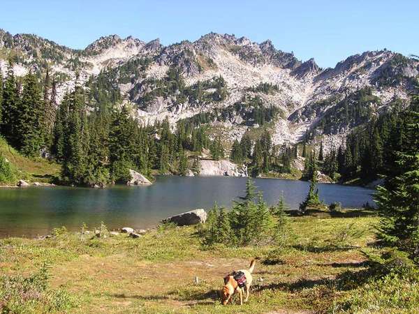 Bulls Tooth & Chain Lakes #1569 — Washington Trails Association