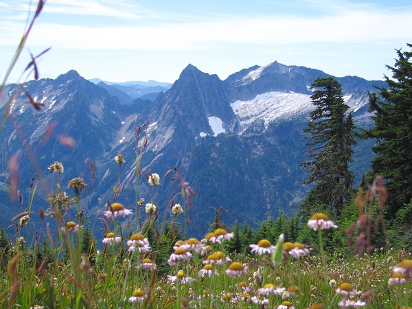 Mount Dickerman #710 — Washington Trails Association