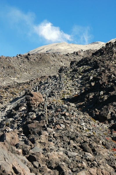 Mount St. Helens Summit - Monitor Ridge — Washington Trails Association