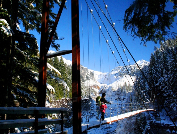 Tahoma Creek Trail to suspension bridge — Washington Trails Association