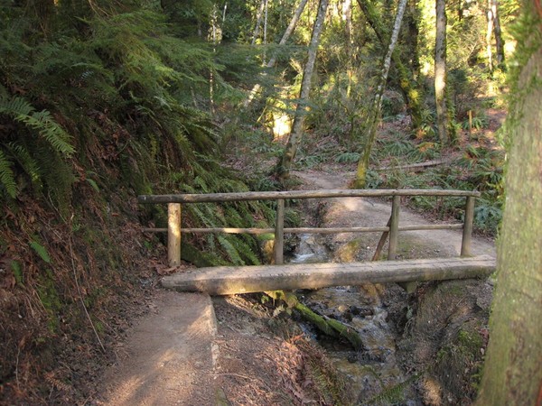 Wilderness Peak Loop, Wilderness Creek — Washington Trails Association