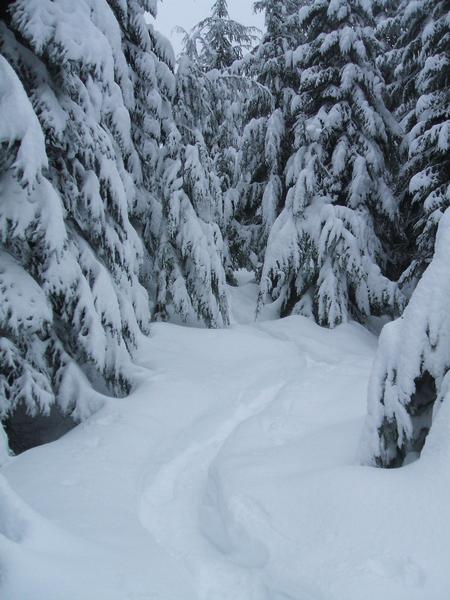 East Peak-Rattlesnake Trail, Rattlesnake Mountain — Washington Trails ...