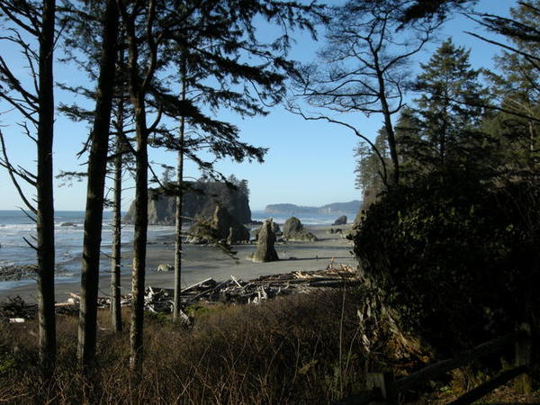 Ruby Beach #14 — Washington Trails Association