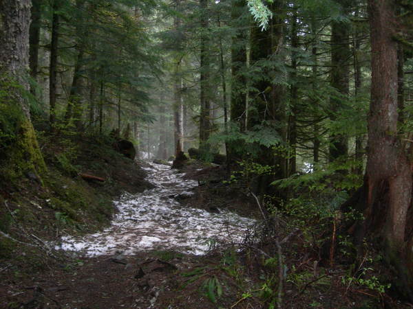 Barclay Lake — Washington Trails Association