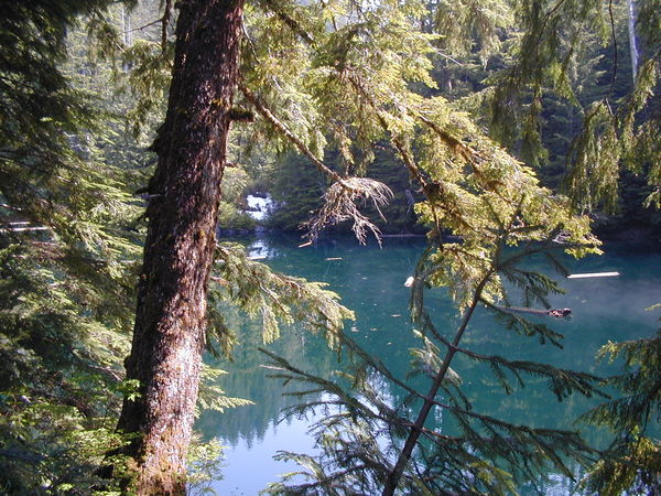 Canyon Lake — Washington Trails Association