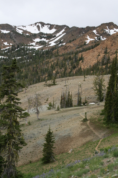 Navaho Pass #1369 — Washington Trails Association