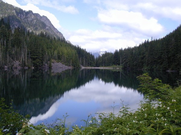 Elliott Creek #647,Goat Lake #647 — Washington Trails Association