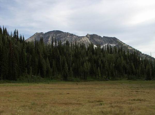 McAlester Mt. (7928) — Washington Trails Association