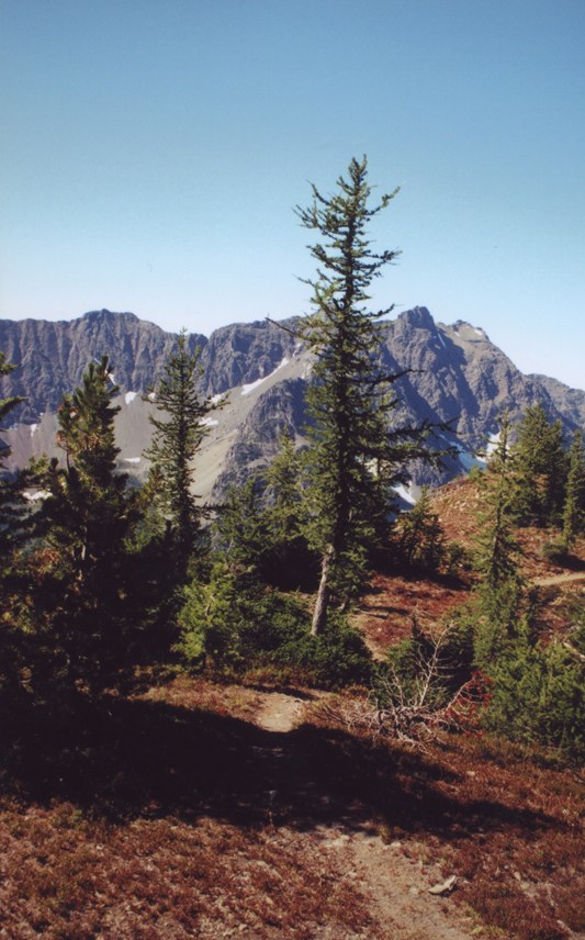 Grasshopper Pass — Washington Trails Association