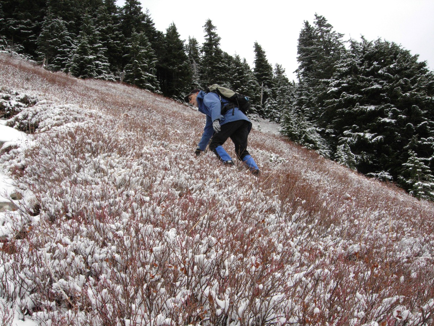 Mount Defiance, Ira Spring Memorial — Washington Trails Association