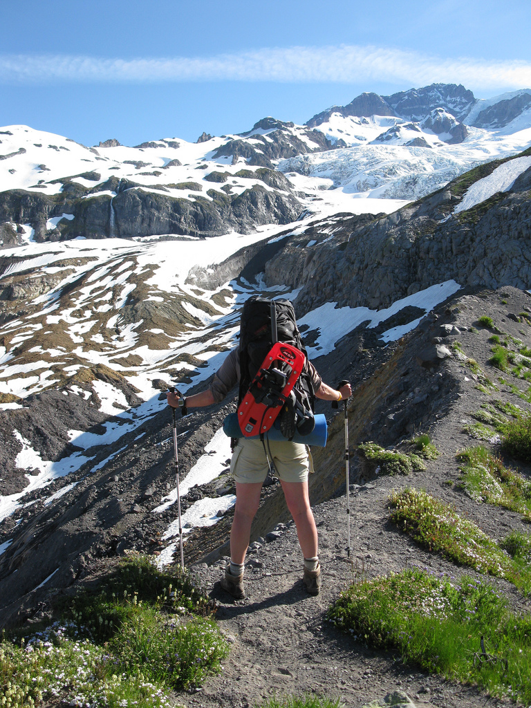 Wonderland Trail, Tahoma Creek Suspension Bridge - Emerald Ridge Loop — Washington Trails ...