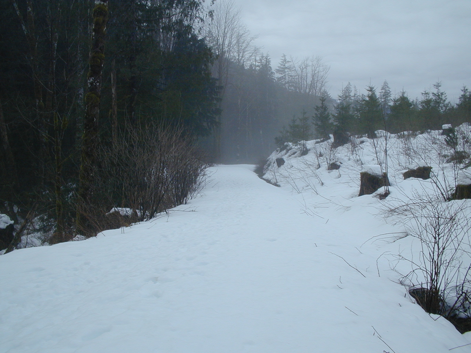 Boulder River — Washington Trails Association