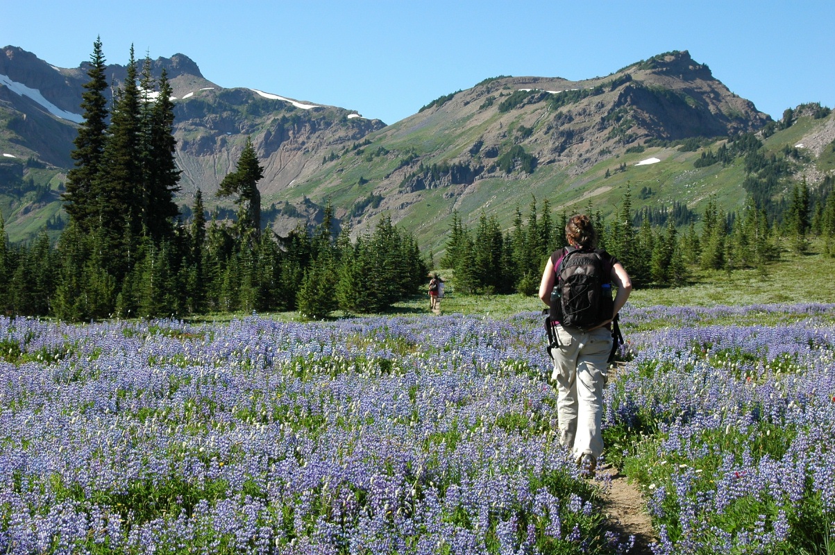 Snowgrass Flat, Goat Ridge — Washington Trails Association