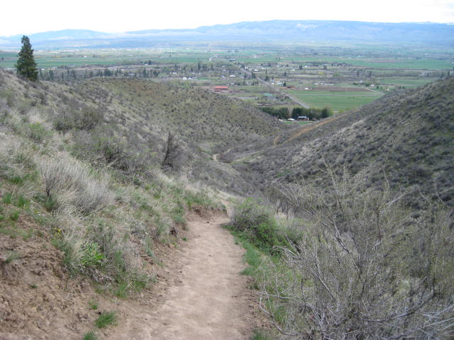 Manastash Ridge — Washington Trails Association