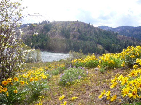 Patterson Mountain — Washington Trails Association