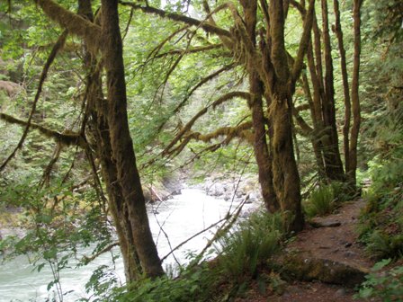 Old Robe Canyon — Washington Trails Association