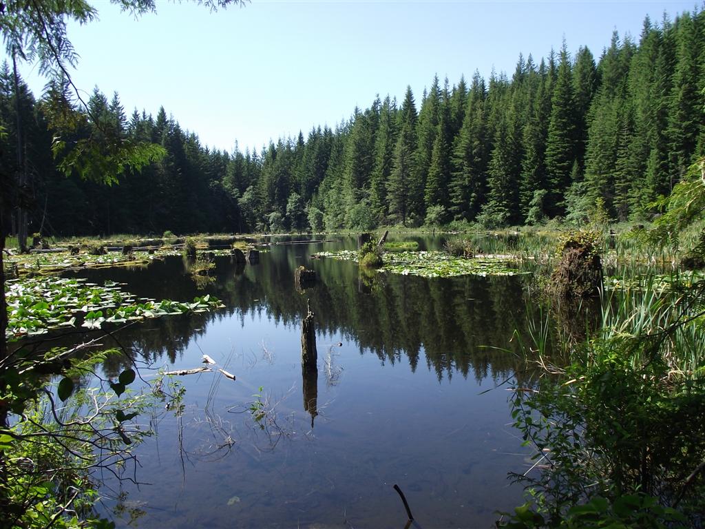 Pacific Northwest Trail, Lily and Lizard Lake Loop — Washington Trails ...