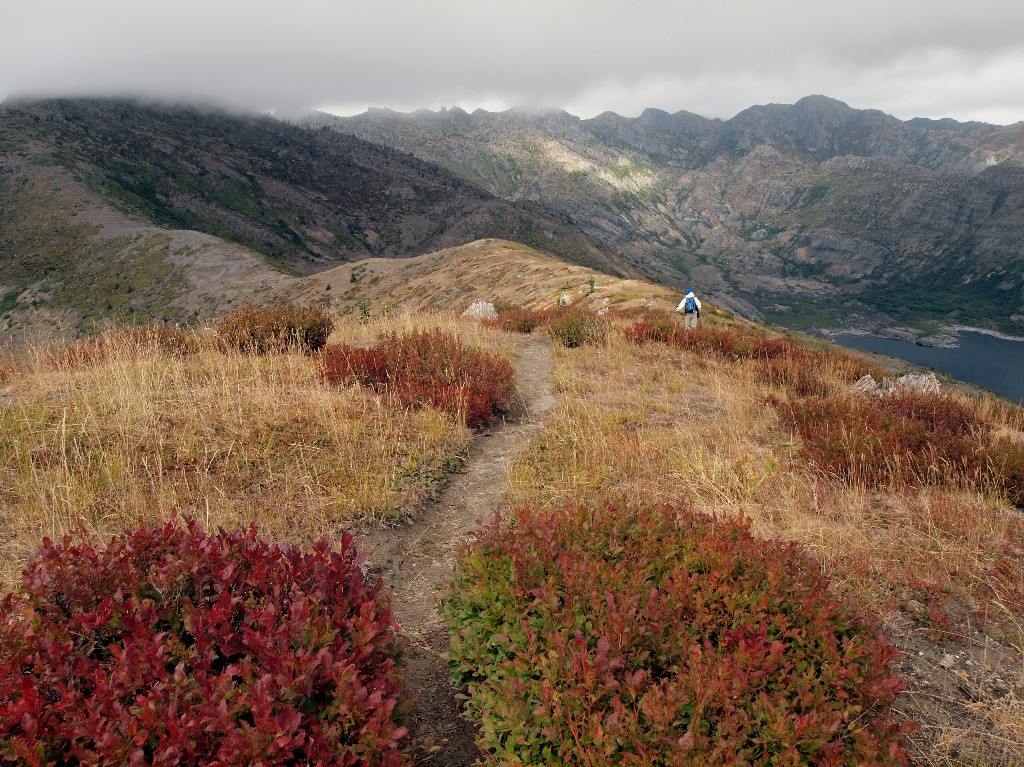 Harry's Ridge — Washington Trails Association