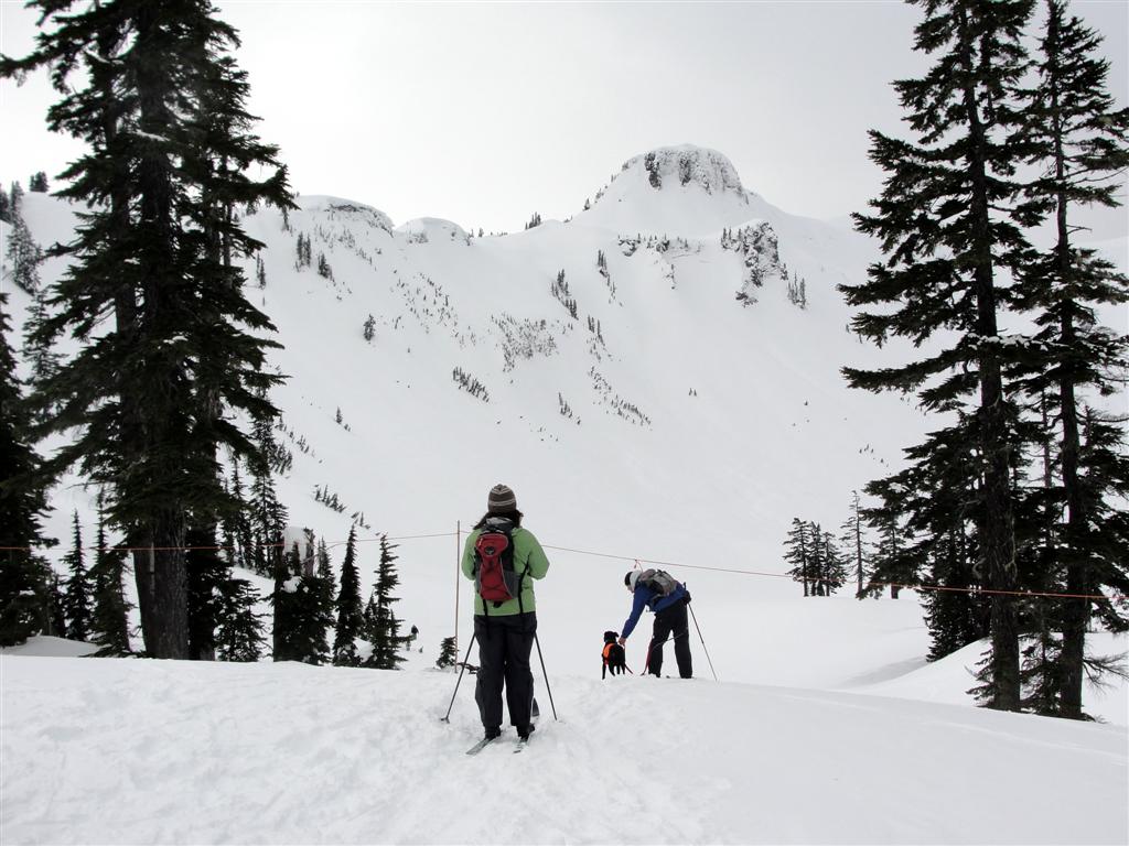 Heather Meadows — Washington Trails Association