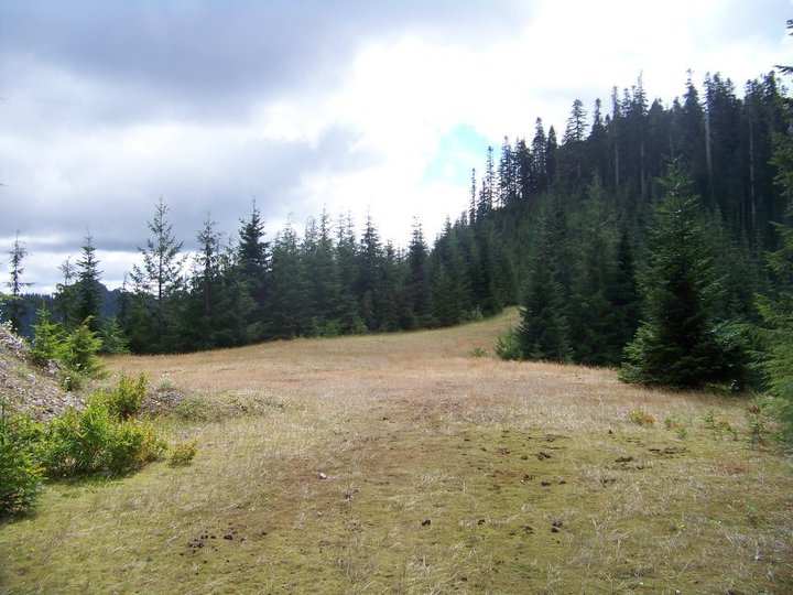 West Fork Humptulips River, Humpnoochee Pass — Washington Trails ...