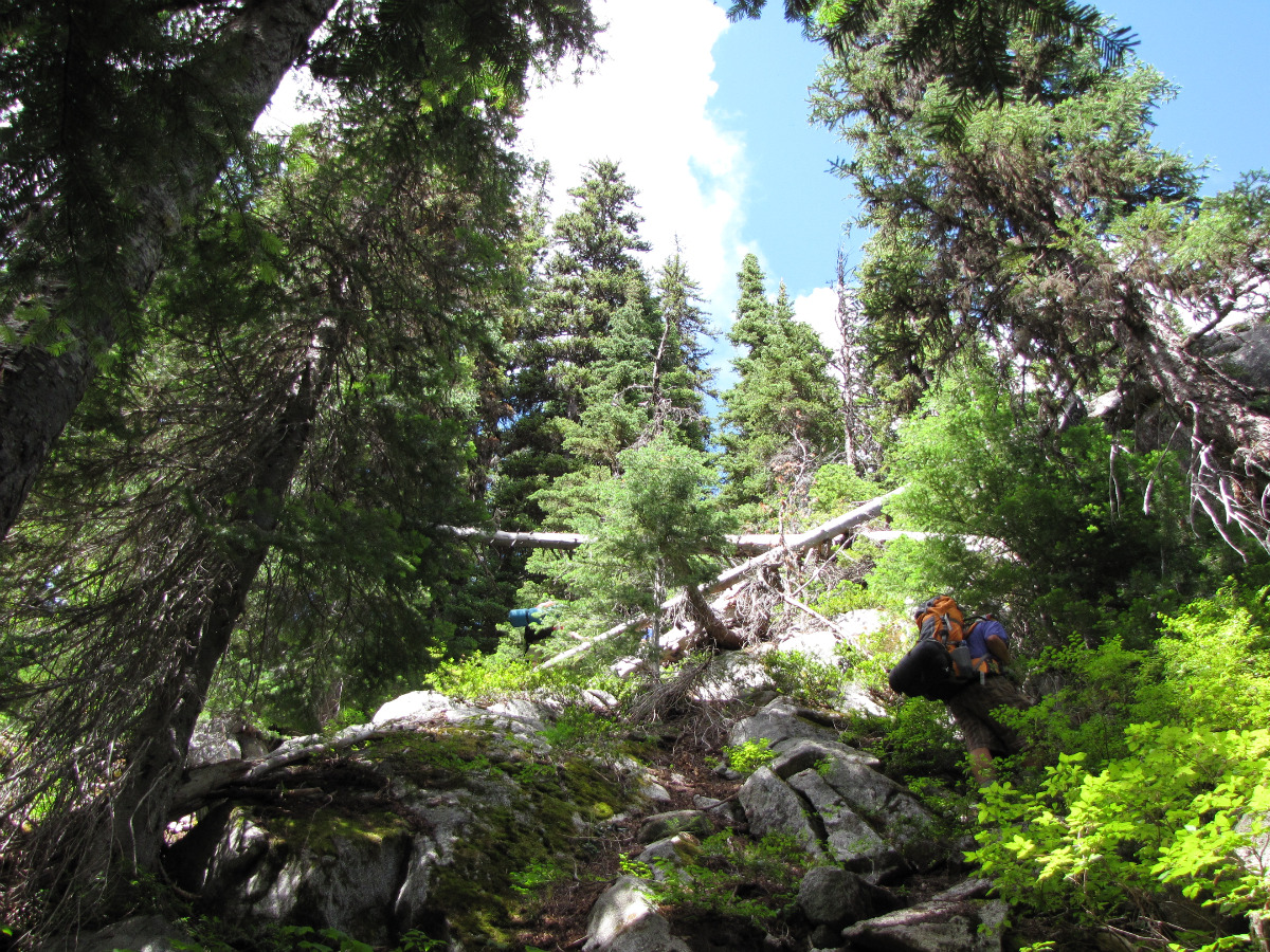 Horseshoe Lake, Lake Stuart — Washington Trails Association
