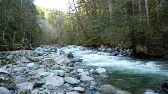 Wallace Falls - Lake Loop, Jay Lake, Shaw Lake — Washington Trails ...