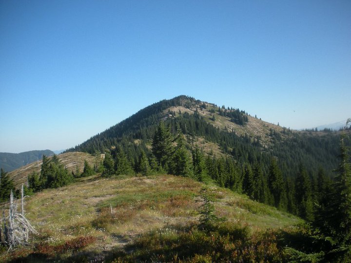 Strawberry Mountain — Washington Trails Association