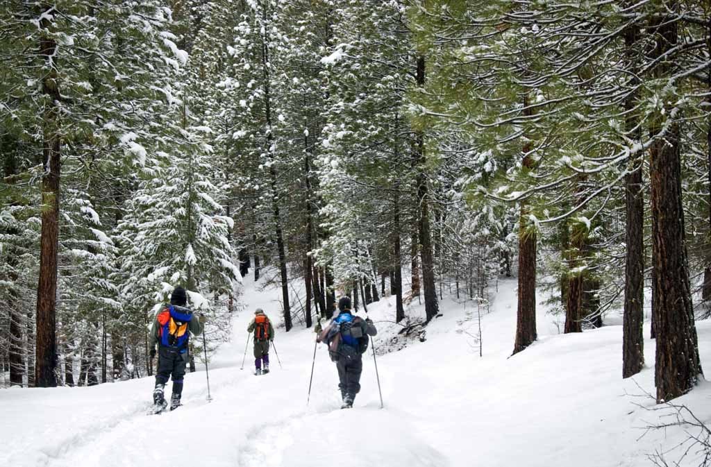 Tieton Pond — Washington Trails Association
