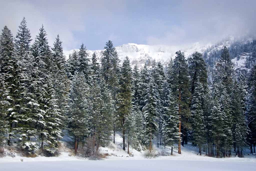 Tieton Pond — Washington Trails Association