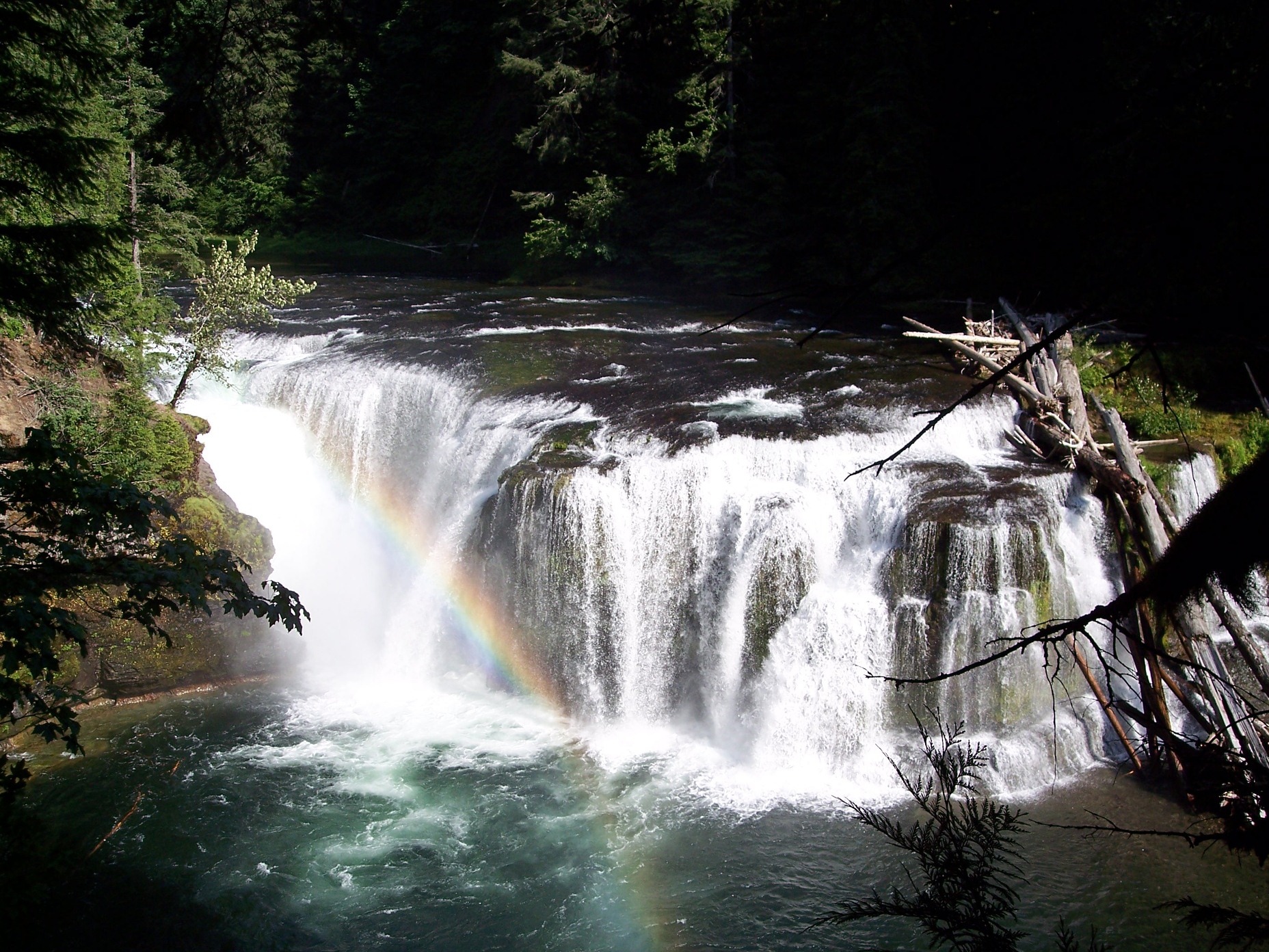 Lewis River Trail — Washington Trails Association